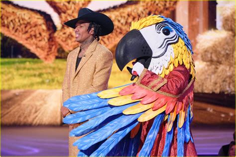Who Is Macaw On The Masked Singer Season 9 Clues Guesses