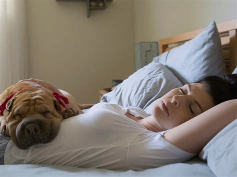 Are 4 Hours Of Deep Sleep Good Health Law Benefits