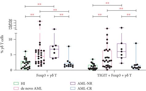 Expression Of Foxp3 And Tigit Foxp3 γδ T Cells From Aml Patients And