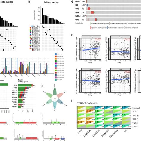 Identification Of Potential Tumor Specific Antigens Of Bca Samples