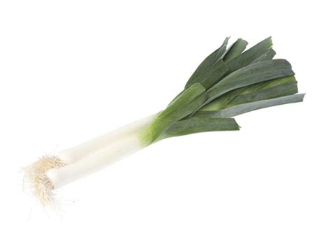 leek pomona export