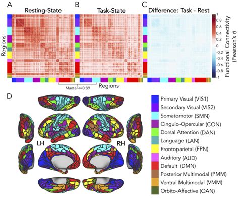 functional connectivity fc estimation a resting state functional