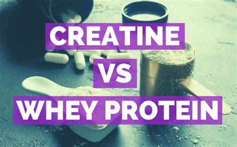 When To Take Creatine And Whey Protein Martlabpro