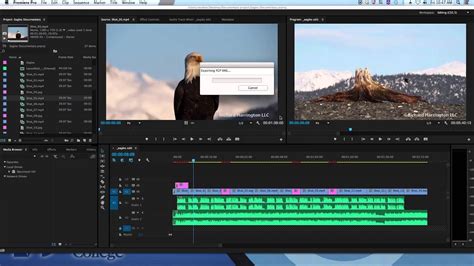importing xml data into adobe premiere pro openxmldeveloper