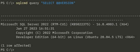 running sql server in a container with sqlcmd dba from the cold