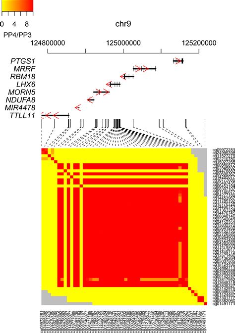 Leveraging Dna Methylation Quantitative Trait Loci To Characterize The