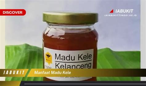 Temukan 7 Manfaat Madu Kele Yang Bikin Kamu Penasaran Discover