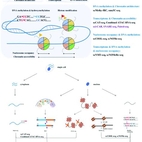 pdf advances in single cell multi omics profiling