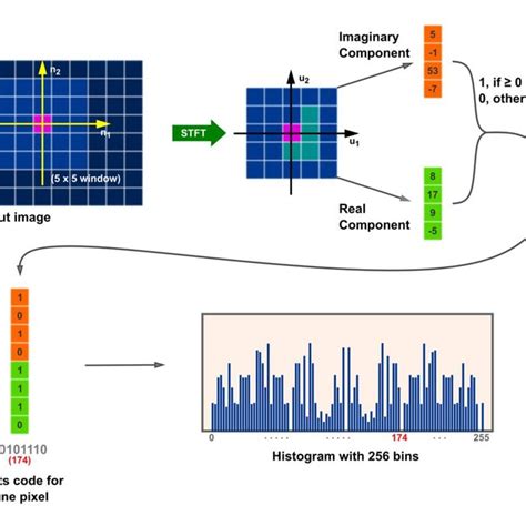 function of lpq feature extraction algorithm download scientific diagram