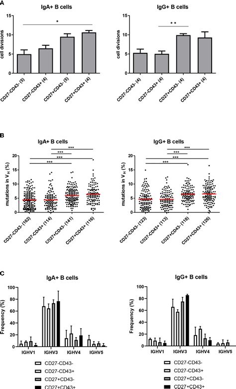 Frontiers Plasma Cells Are Not Restricted To The Cd27 Phenotype