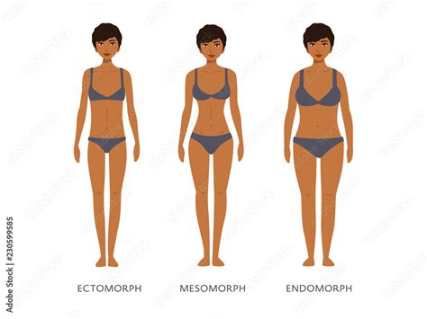 Male Female Body Types Ectomorph Mesomorph Endomorph Skinny Muscular