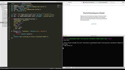 how to run webpack devserver gagasmo