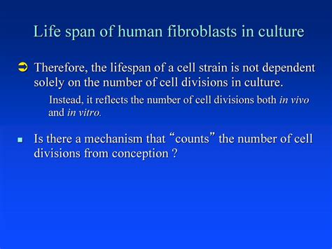 Oncogenes I And Ii Readings For Both Lectures Ppt Download