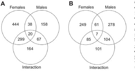 Comparing The Effect Of Testosterone Treatment In Males And Females