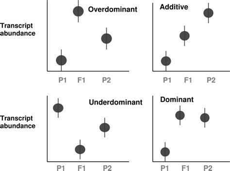 Mode Of Action For Additive Dominant Underdominant And Overdominant