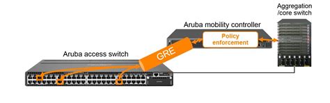 tunneled node for campus switches