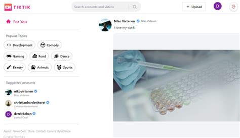 tiktok react js examples