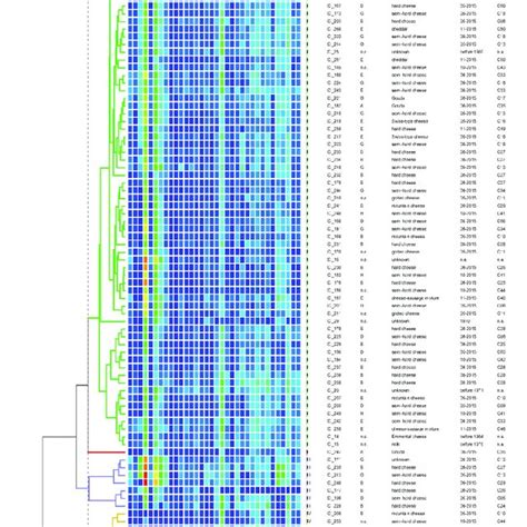 dendrogram obtained based on the cluster analysis of the maldi tof ms