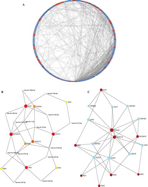 The Ppi Network And Interaction Network Of Degs Between Sat And Vat A