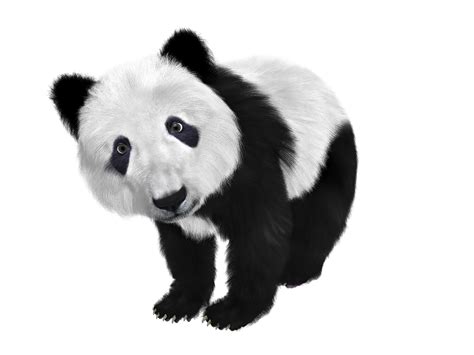 the easy way to handle large files in pandas by
