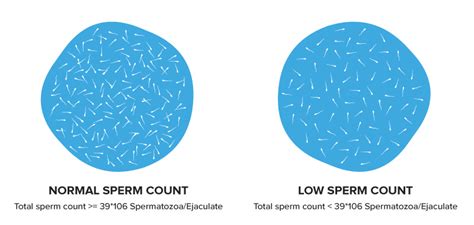 Sperm Count Do You Have A Normal Sperm Count Cryos