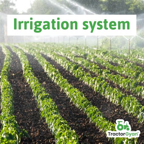 Irrigation System In Farming Understand Sources Methods And