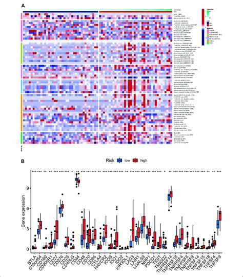 Analysis Of Immune Cell Infiltration Levels Correlation Analysis Of