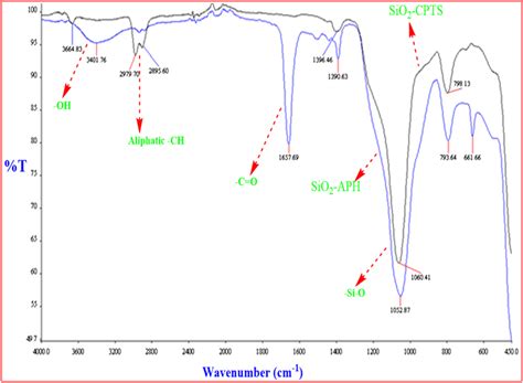 ftir spectrum of sio2‐cpts and sio2‐aph download scientific diagram