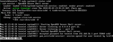 ubuntu console vache au comptoir