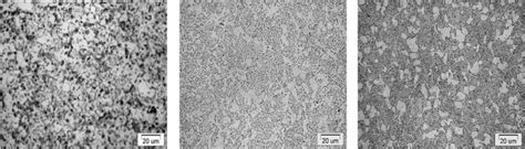 Initial Microstructure Of Vt6 Titanium Alloy а Coarse Grained