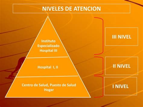 Niveles De AtenciÓn En Salud I