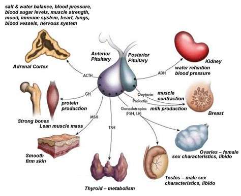 seeing clearly after pituitary adenoma surgery