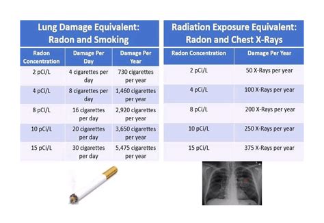 About Radon Gas Vet Owned Radon