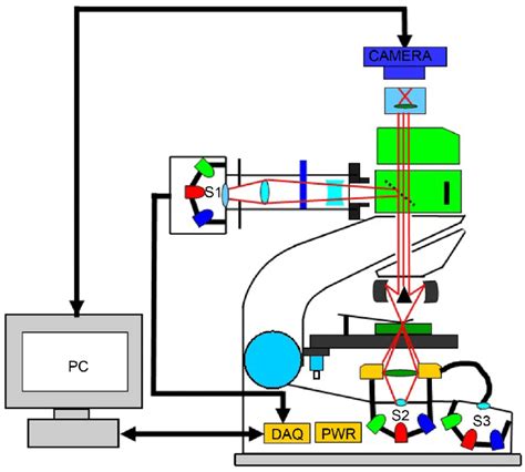 Multimodal And Multispectral Microscope Setup S1 S2 And S3 Are A Set