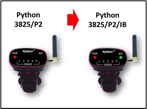 python detector upgrade service