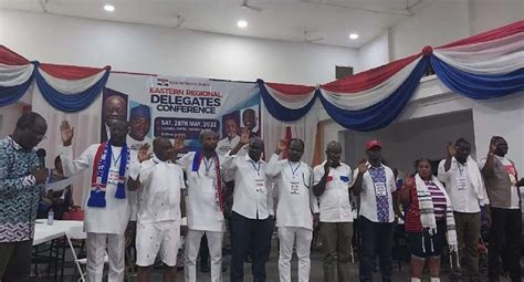 Npp Elections Full Results From 14 Regional Election Centres
