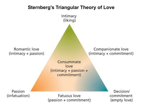 Ppt Attraction And Relationships Powerpoint Presentation Free