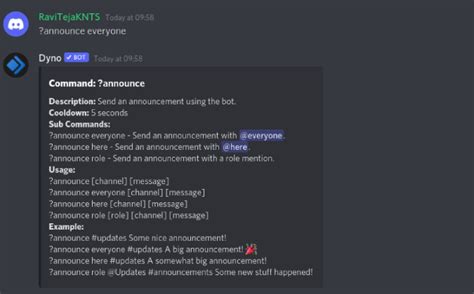 41 best dyno bot commands to supercharge discord experience techwiser