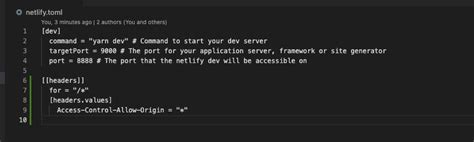 netlify function cors issue stack overflow