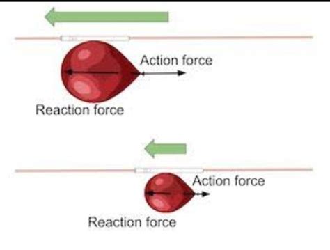 conduct an experiment to show the action and reaction