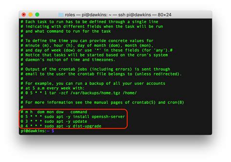 automatically update and upgrade raspbian