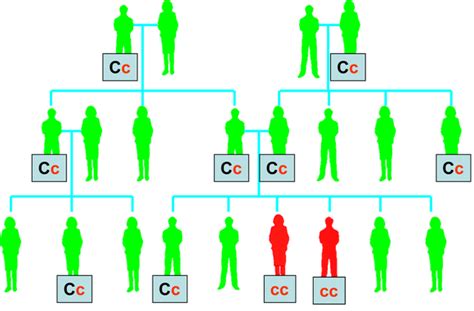 chapter 20 patterns of inheritance and variation a hammond biology