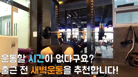 스트렝스 훈련자에게 새벽운동이 좋은 이유 Youtube