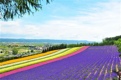 十勝・富良野グルメと牧歌的風景を巡る 北海道2泊3日のドライブモデルコース 十勝～富良野編 Expedia Jp Stories