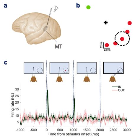 A The Area Mt Of The Brain Wherein The Firing Rate Signals Were