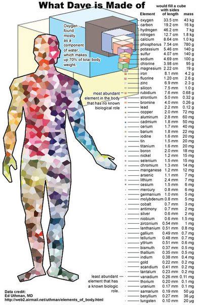 how many atoms in a human cell physics forums
