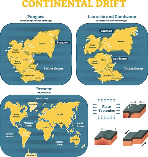 How Does Continental Drift And Seafloor Spreading Support Plate