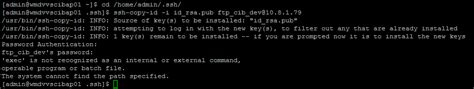 linux command to copy client public key to windows openssh sftp ssh