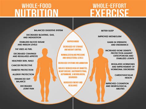 Benefits Of Exercise On The Human Body Exercise