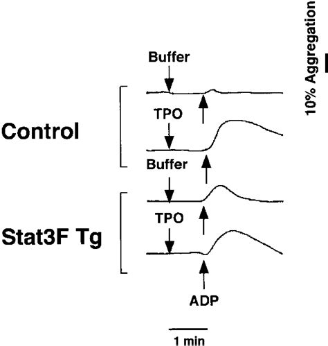 Effects Of Tpo On Adp Induced Platelet Aggregation In Tg Mice Hirudin
